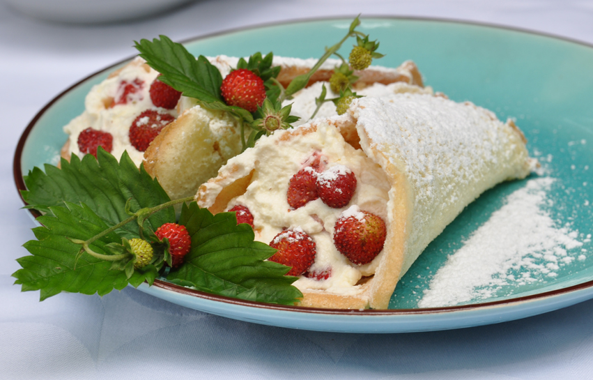 Die Küchenschabe: ABBITTE (ANNÄHERUNG AN OMAS WALDERDBEER-STANITZEL)