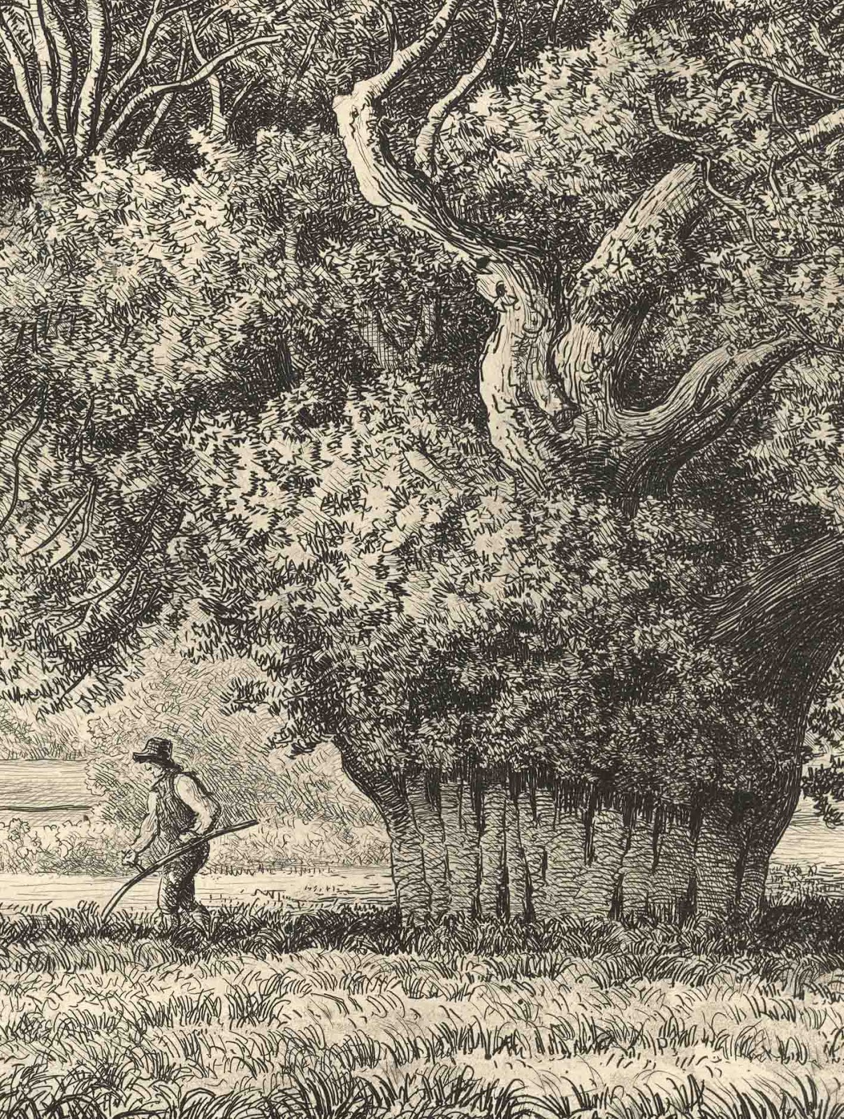 Prints and Principles: Trees as Metaphors (Part 3)