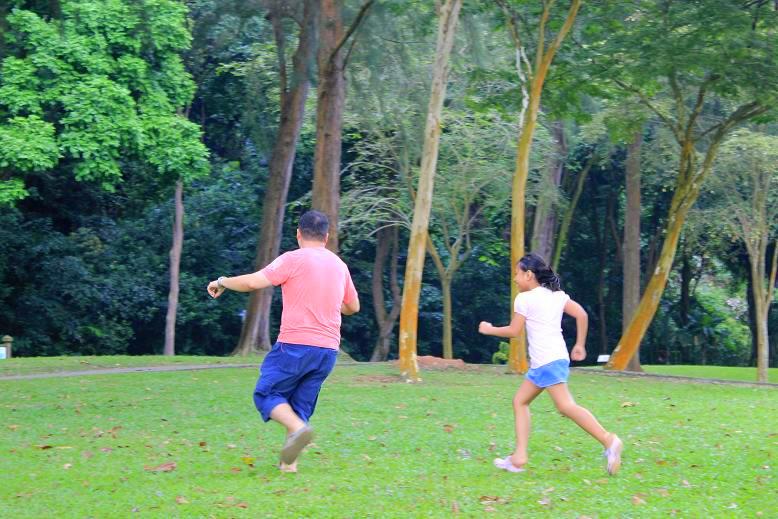 Langit Lupa Mechanics