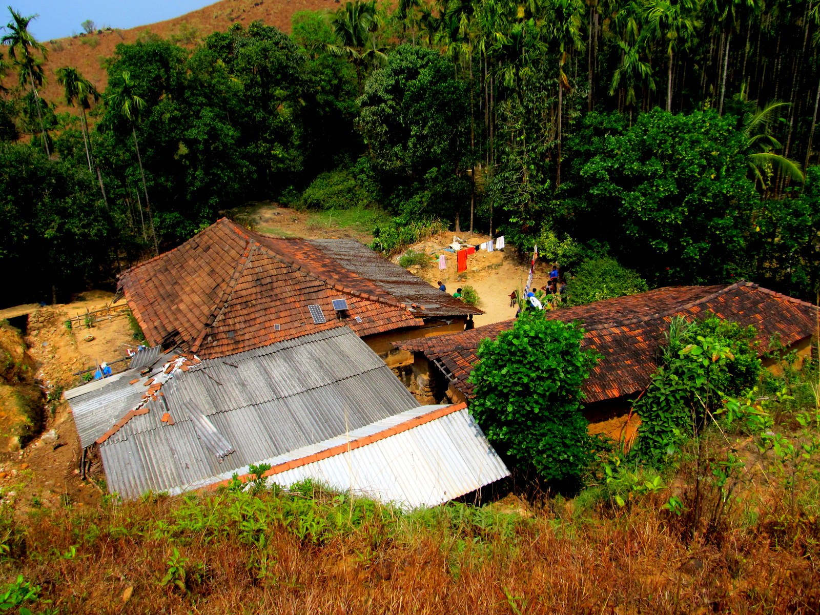 FROM MAJESTIC TO the MAJESTIC KUMARA PARVATA - Bangalore Trekking Club®
