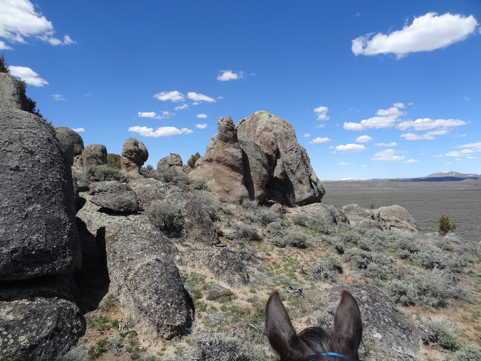 Dream Packer Wyoming Trails: Boulder Rocks