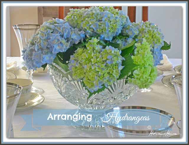 Hibiscus House: Arranging Beautiful Hydrangeas!
