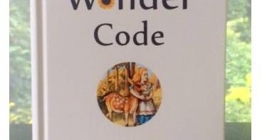 WONDER ~ Reflection on Scott Mason’s 'The Wonder Code'