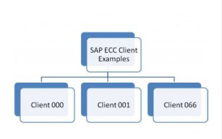 VENKAT SAP BASIS: What is mean by CLIENT?