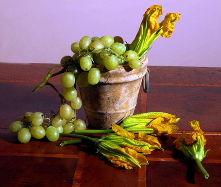 Giuseppe MUSCIO | Catherine La Rose ~ The Poet of Painting