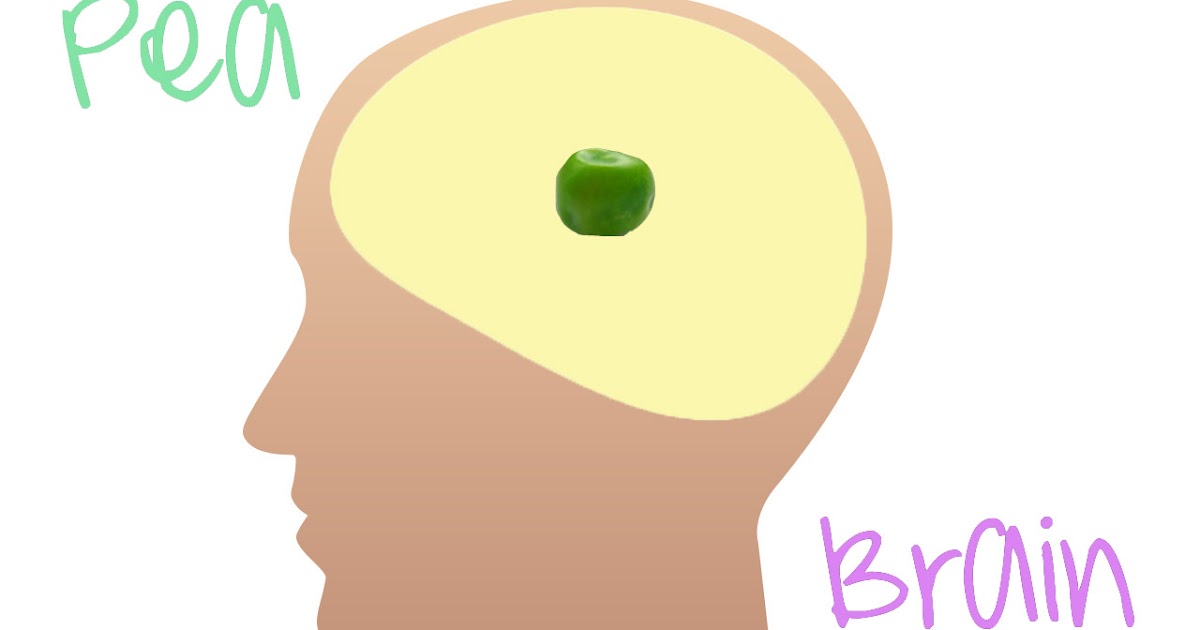 Blog by Abby Sewell: Pea Brain Word Play