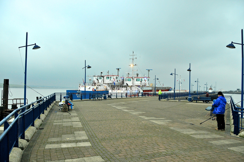 Arthur Pewty's maggot sandwich: 2012-08-05