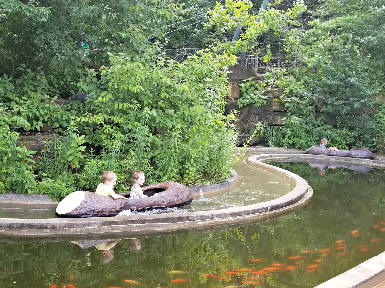 A GEEK DADDY: A YEAR FULL OF ZOO TRAVEL