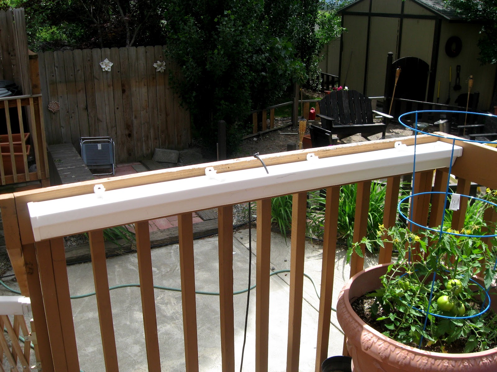 Nagle5 News: Rain Gutter Planter