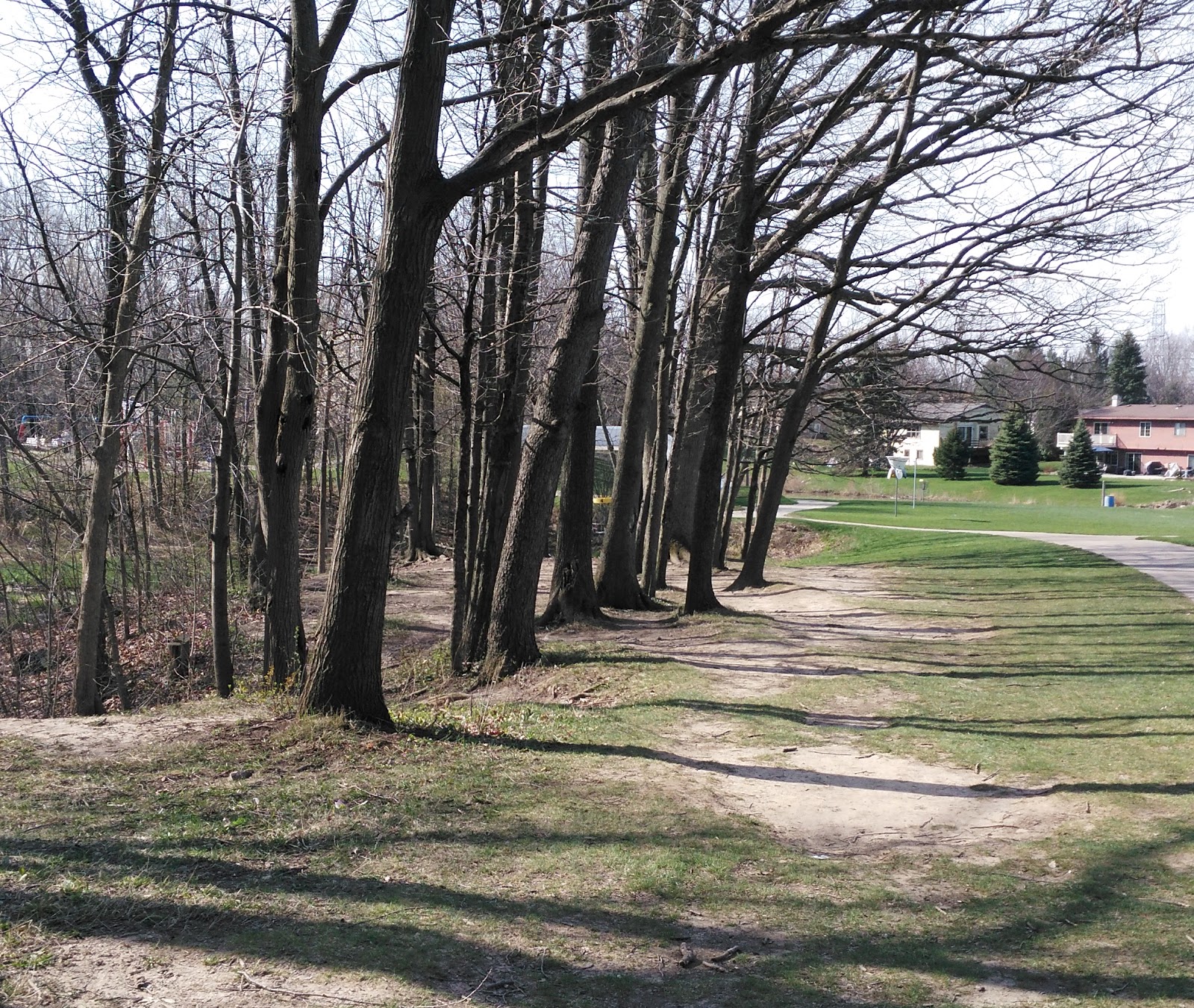 Musings: Disc Golf: Old Farm Park in Kentwood