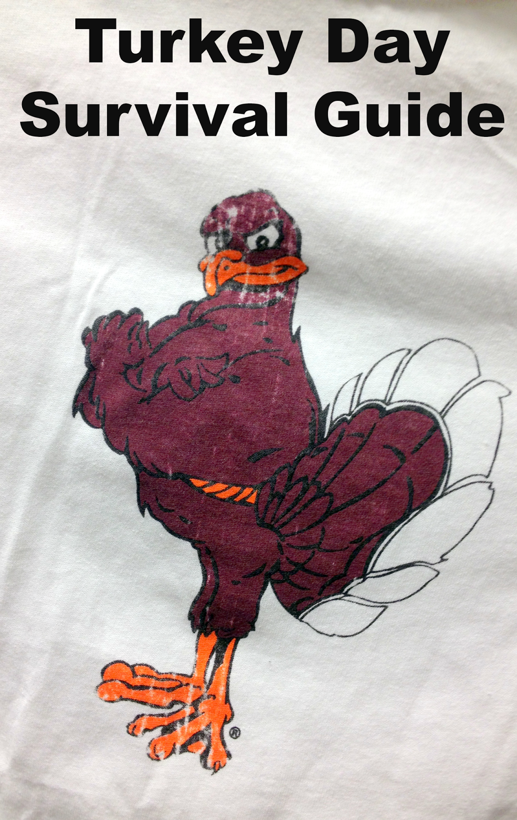 Turkey Day Survival Tips - MyThirtySpot