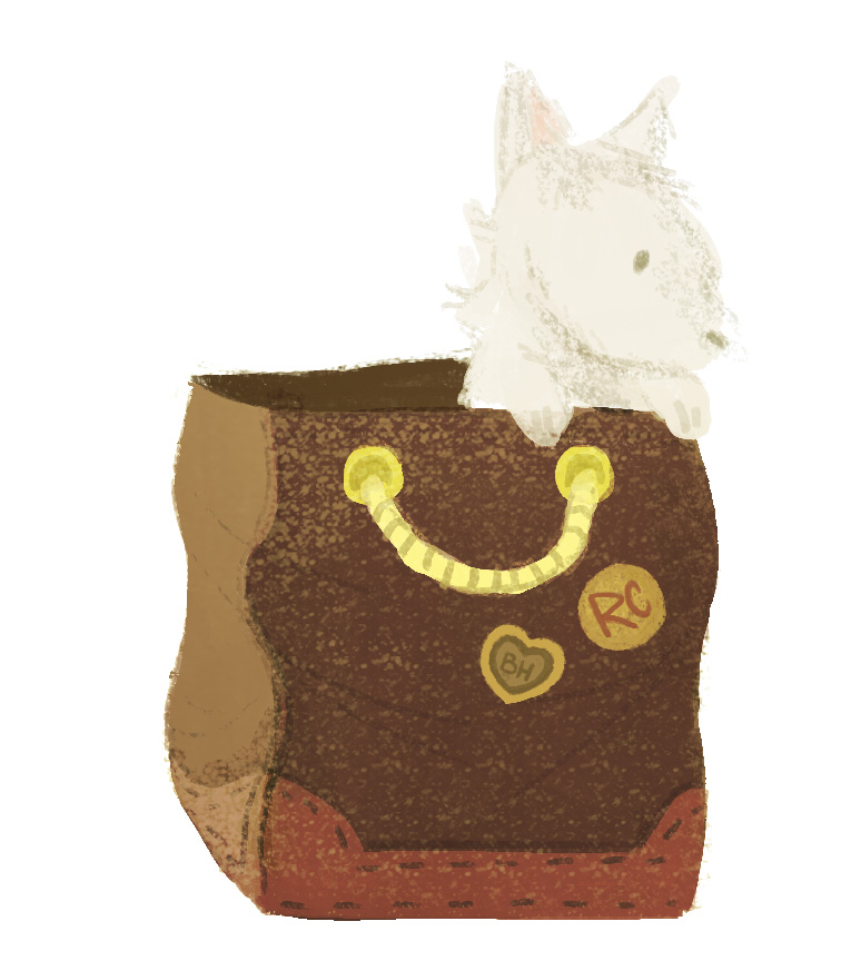 Art of Rachel Chalk: About Me