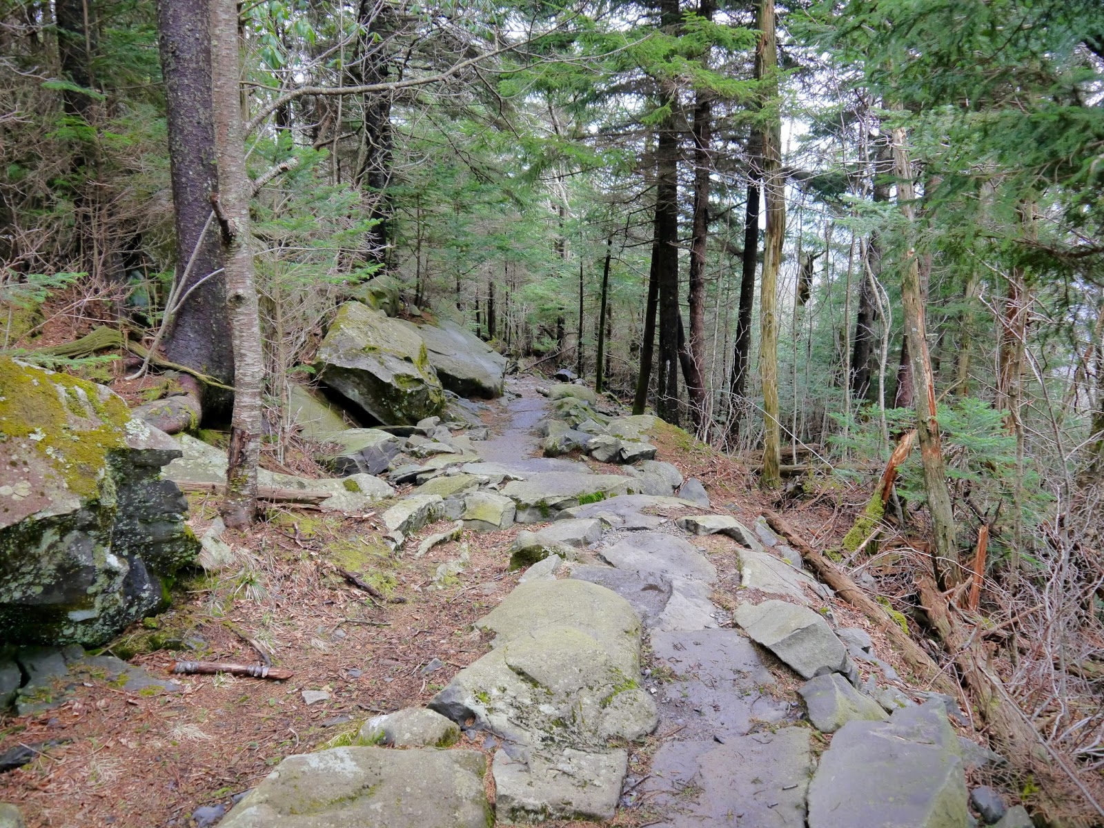 American Travel Journal: Forney Ridge Trail - Great Smoky Mountains ...
