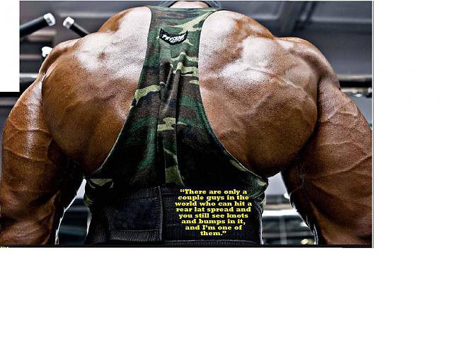 Worldwide Bodybuilders: Colossal American muscle: Will Harris