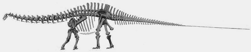 Palaeobiology Series : Brontosaurus - EDUBIO