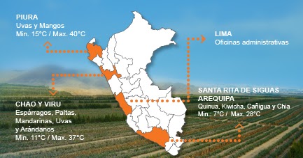 La Buena Palta Para el Mundo: CAMPOSOL: EMPRESA LIDER EN EL PERU