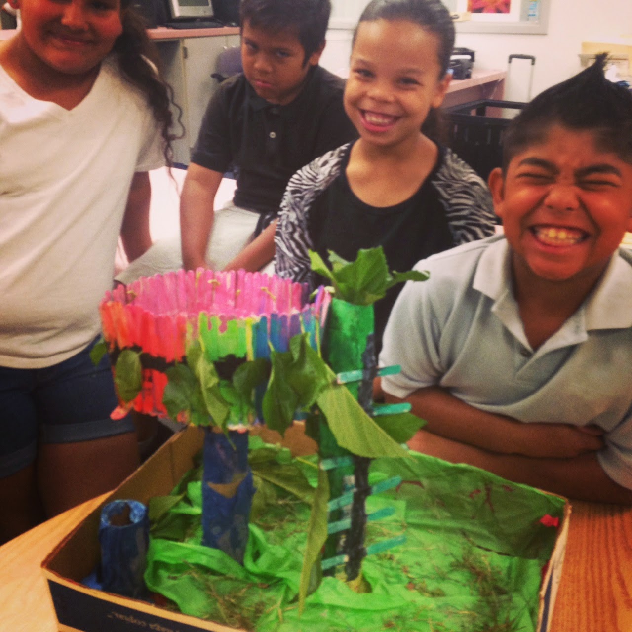 Third Grade with Room Nine: Welcome to the Rainforest