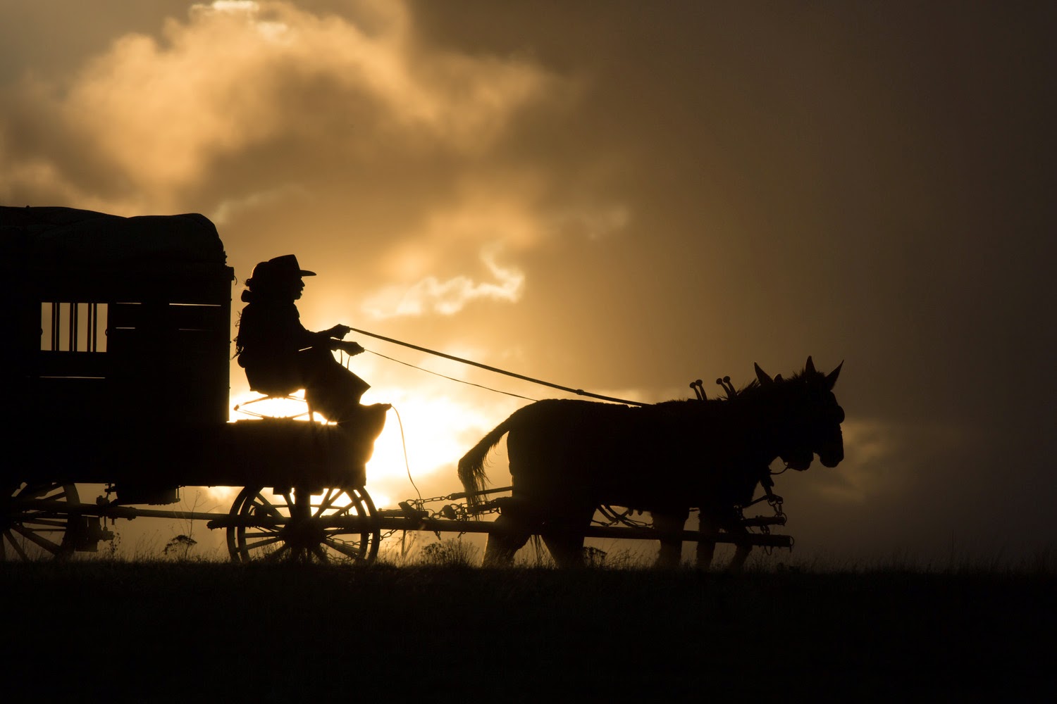 F This Movie!: Review: The Homesman