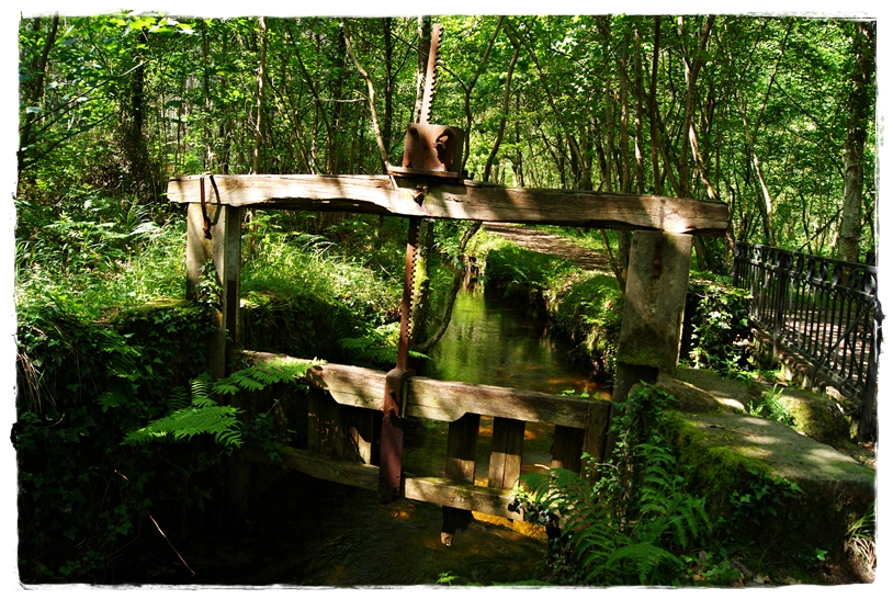 Un paseo,una foto: Souto da Retorta - Eucaliptal de Chavín. Viveiro (Lugo)