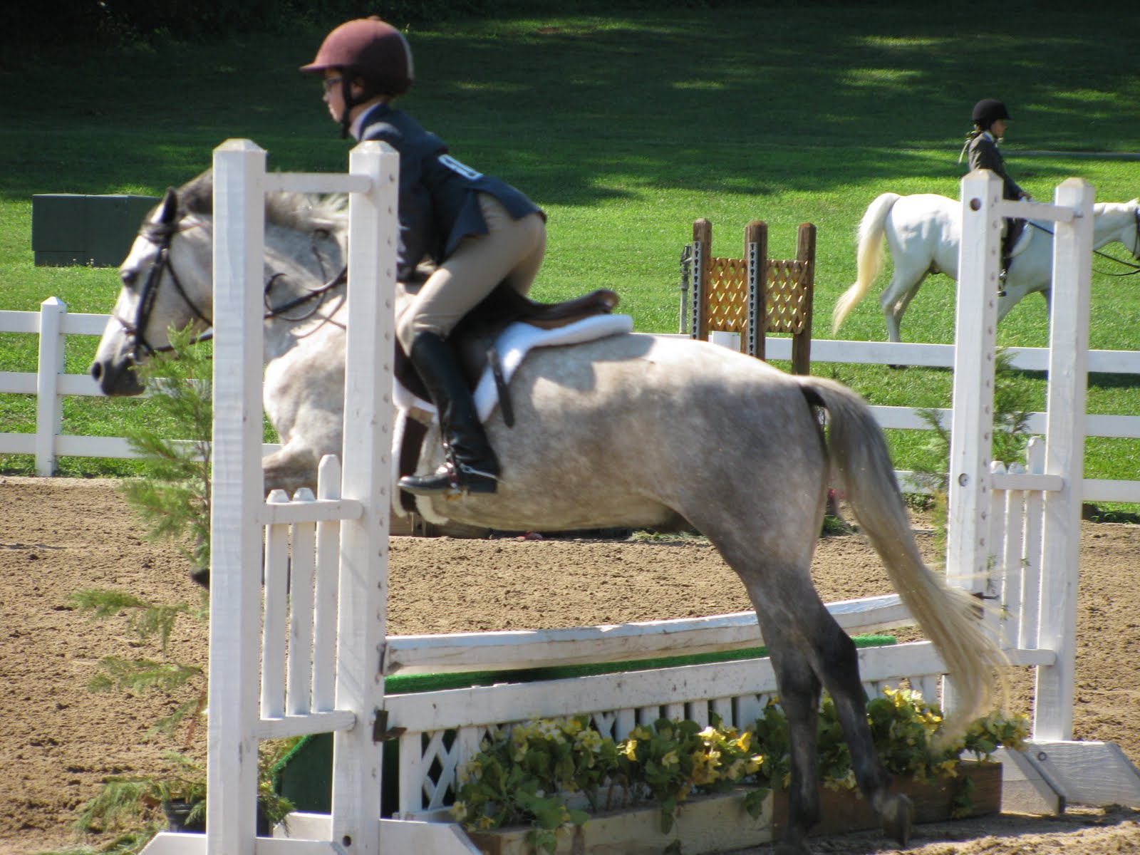 Girls and Thier Horses: Pony Jumping