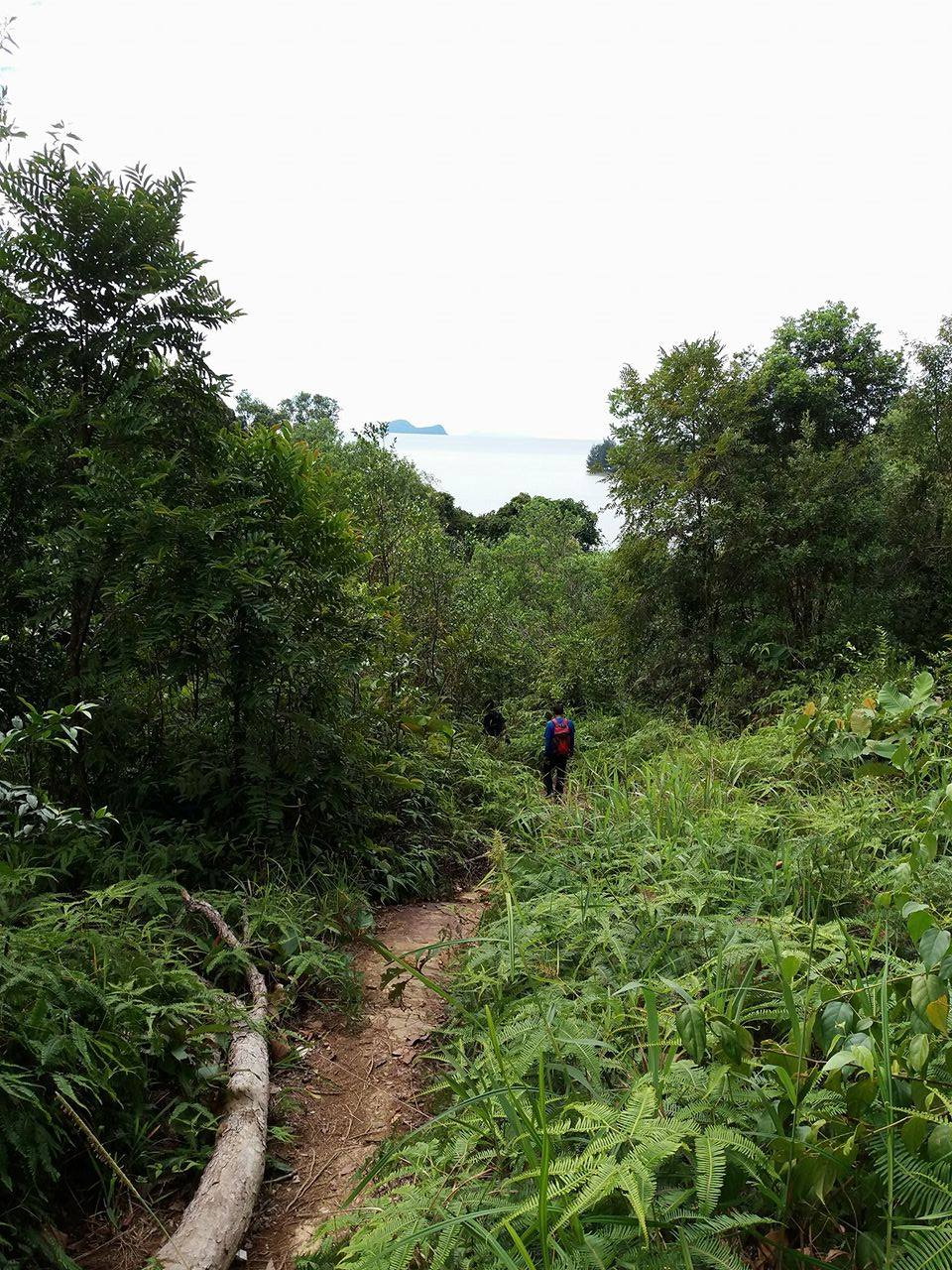 Jalan-Jalan, Pusing-Pusing: Mendaki Gunung Santubong via Taman Negara ...