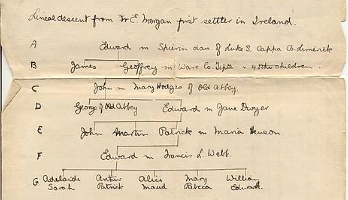 Gleeson, O'Carroll, Hart, Union family tree : Our direct connection to ...