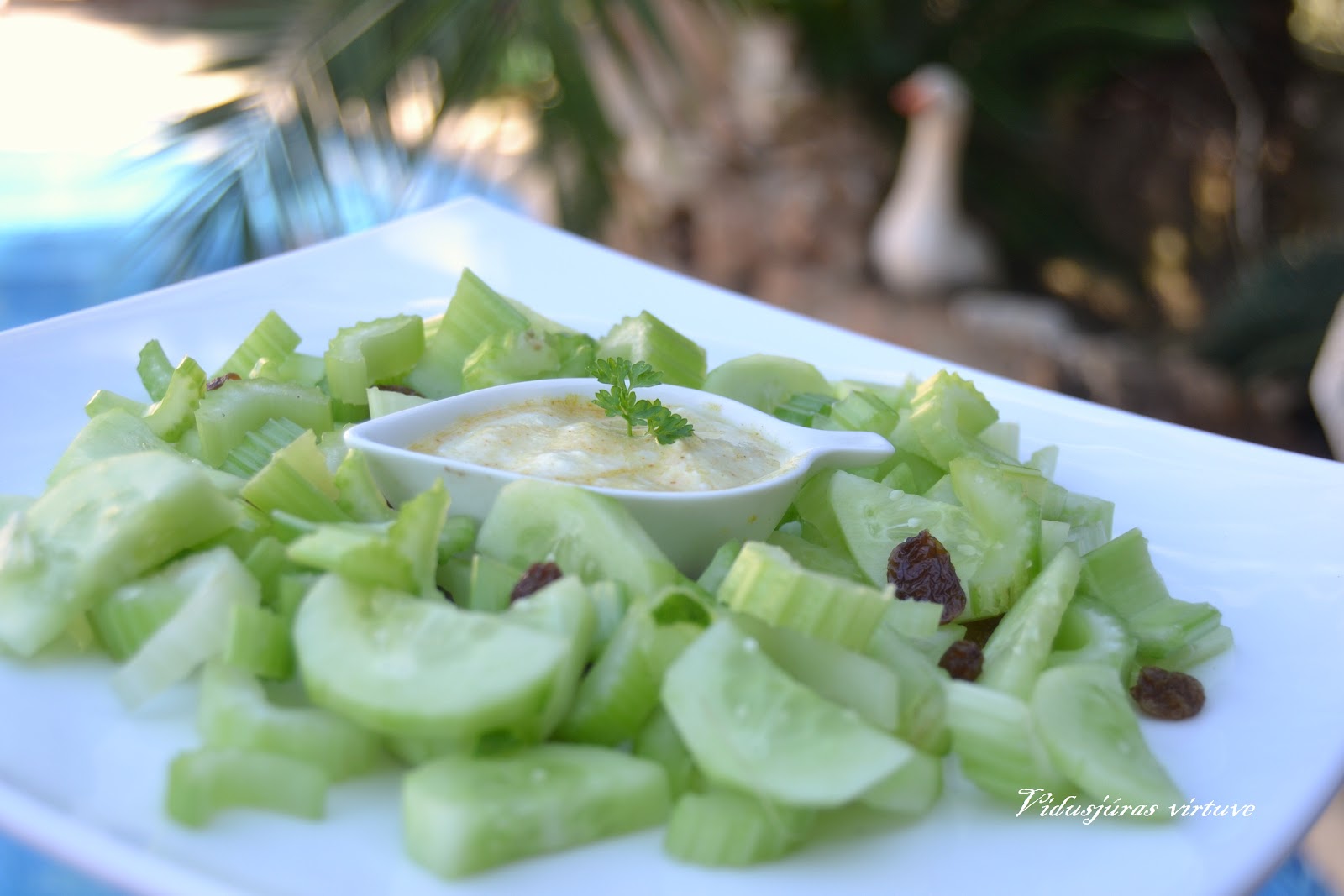 Vidusjúras virtuve: Seleriju saláti ar gurki un rozíném karija mércé