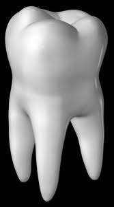 "EL MUNDO DENTAL": EL DIENTE