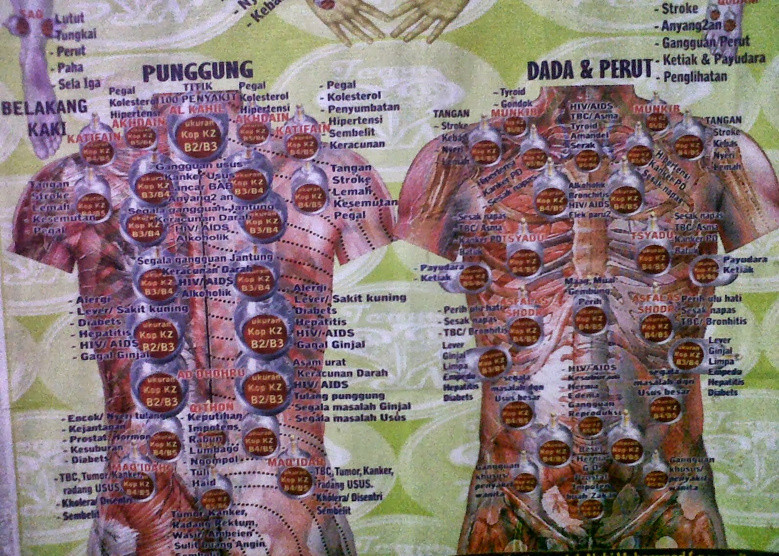 Rumah Bekam Pekanbaru || Tempat Ruqyah Pekanbaru || Terapi Lebah ...