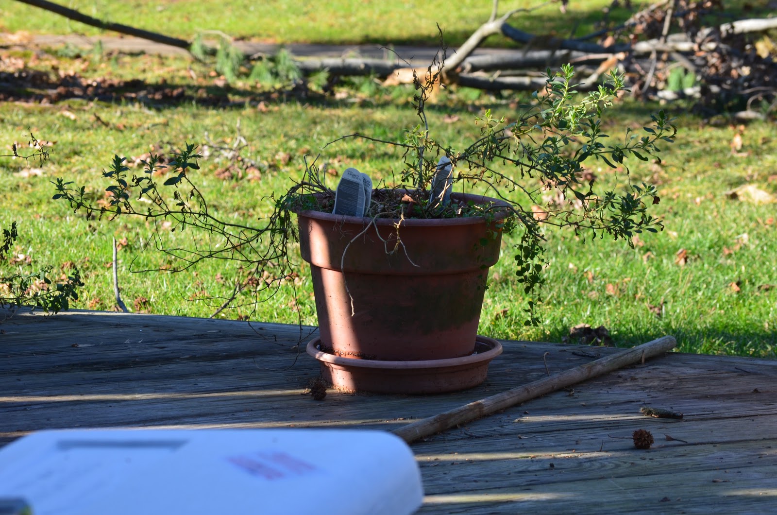 KCurtin Photography: DOF Messing Around