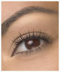 Tips Merawat Alis Mata