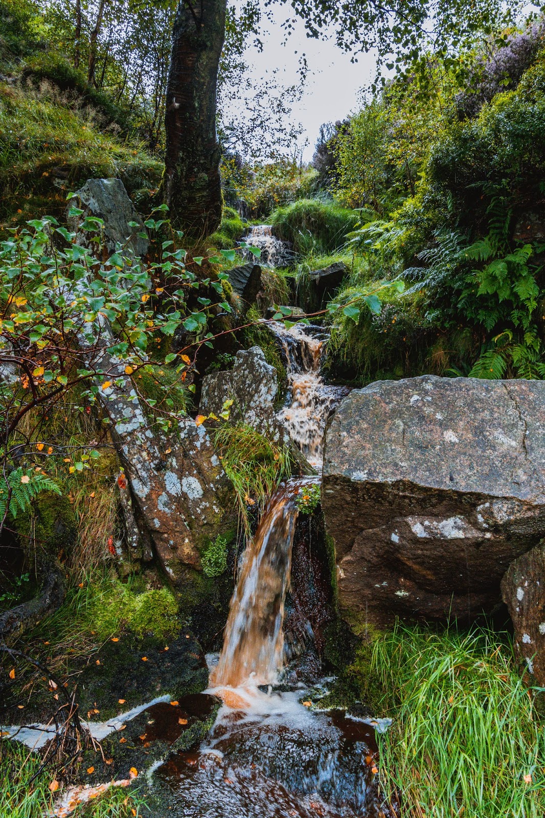 Yorkshire Waterfalls: Bronte Falls