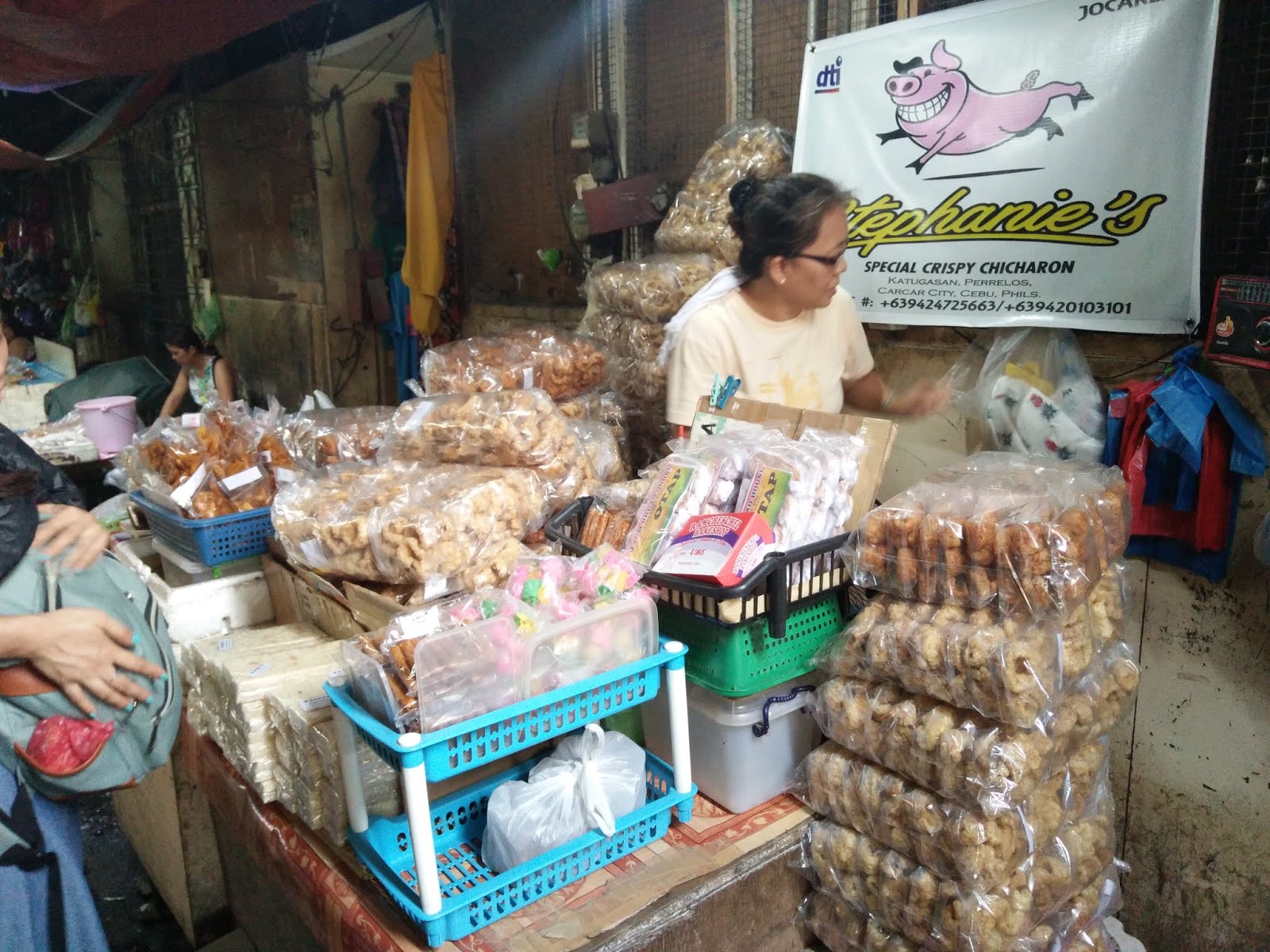 The Non-Professional Travel Blogger: HALF DAY CARCAR ESCAPADE: Lechon ...