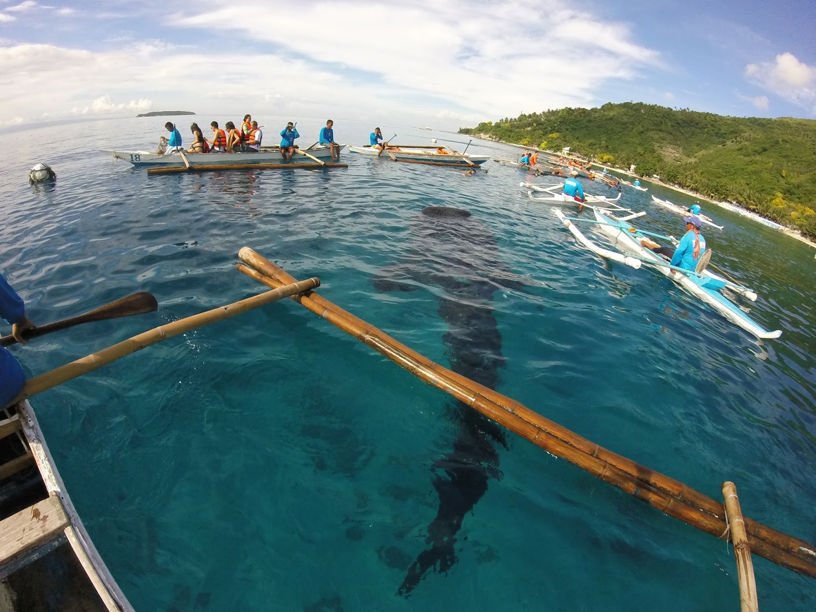 This Ain't a Travel Blog: Oslob, Cebu 2015