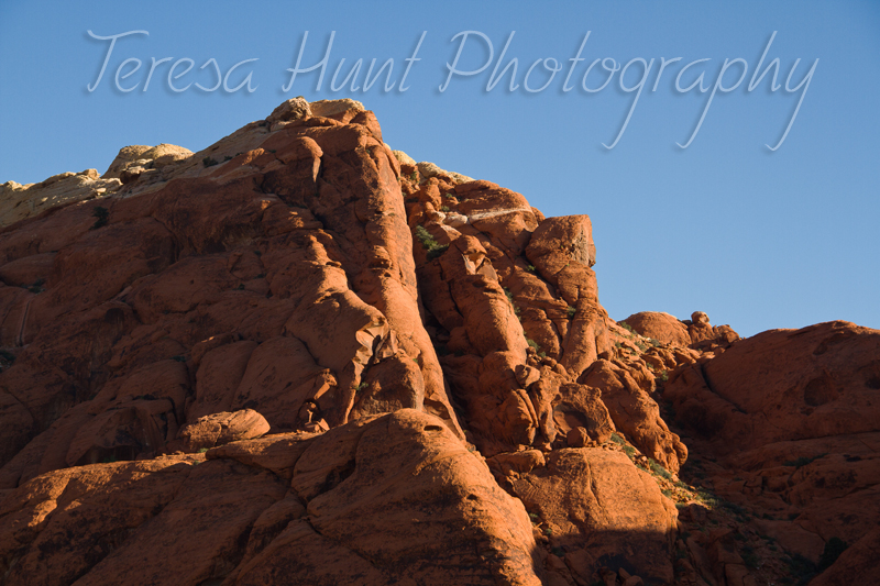 Teresa Hunt Photography: Red Rock Canyon
