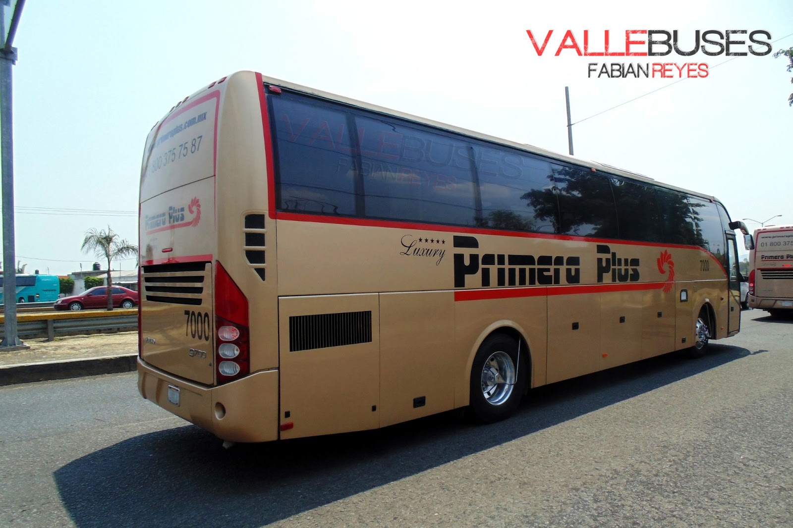 Vallebuses: 01378 - Primera Plus