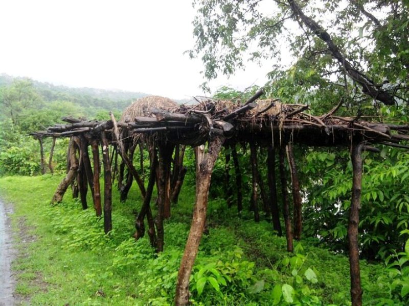 SUKELI WATERFALLS - Amazing Maharashtra