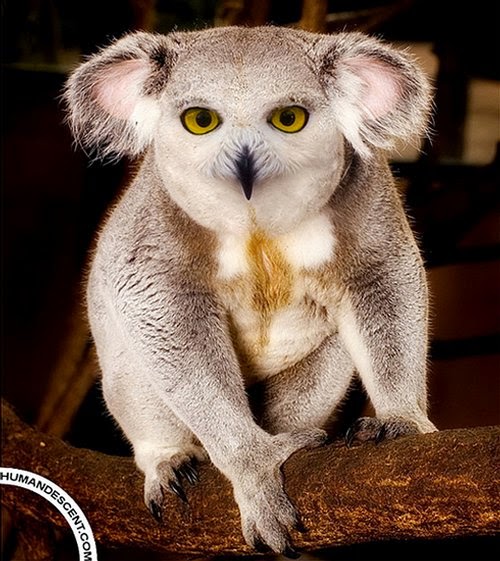 Design Stack: A Blog about Art, Design and Architecture: Surreal Animal ...