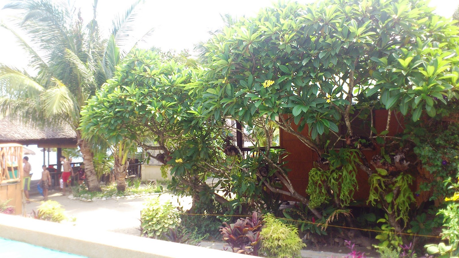 The Visible Horizon: Tamaraw Beach Resort (Aninuan Beach, Puerto Galera)