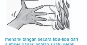 Urutan Dan Prosedur Terjadinya Proses Gerak Refleks Serta Gerak Sadar