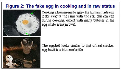 Viral Fake Chicken Egg Made in China - Travel Diaries