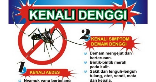 DENGUE PATROL SK. PASIR PUTIH TAWAU: DEMAM DENGGI