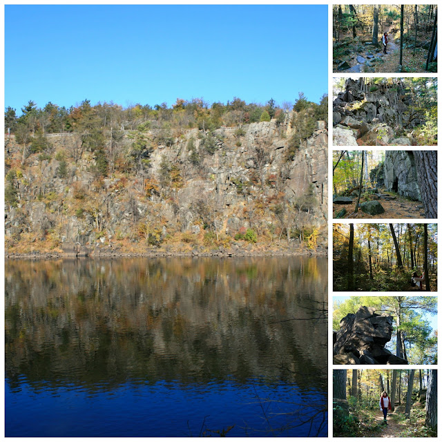 Amy's Creative Pursuits: Exploring the Forest, Gorge, and Glacial ...