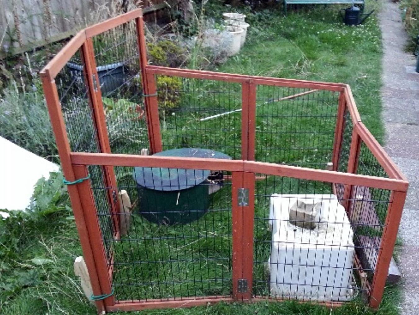 The Hedgehog Shed: Up-date on Vince