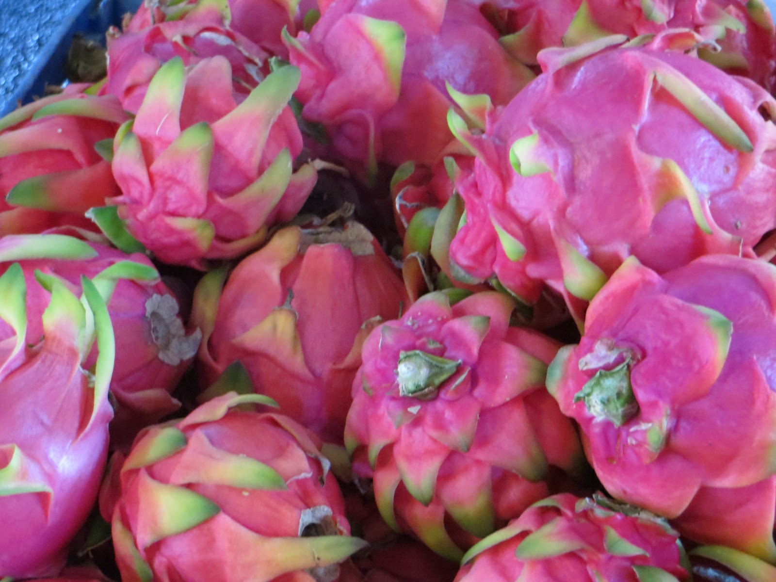 Low Fat and Naturally Sweet: Dragonfruit Ginger Bread