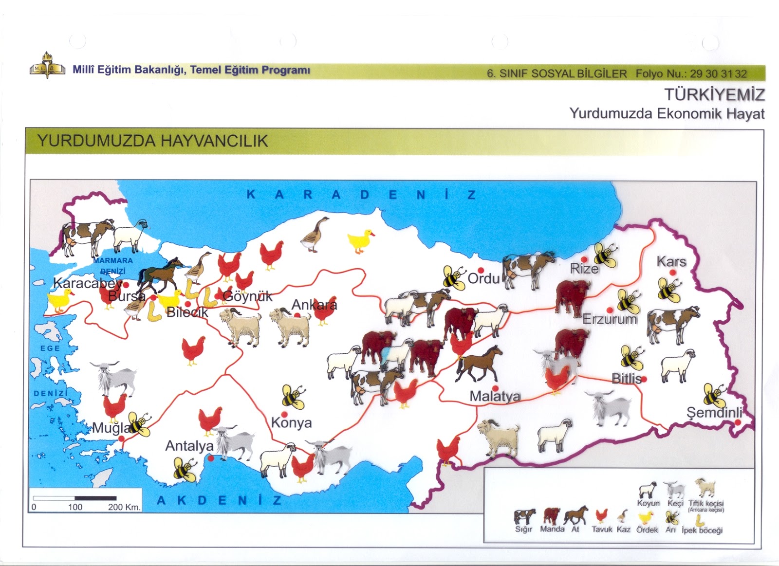 Map of Turkey Breeding ~ Turkey Physical Political Maps of the City