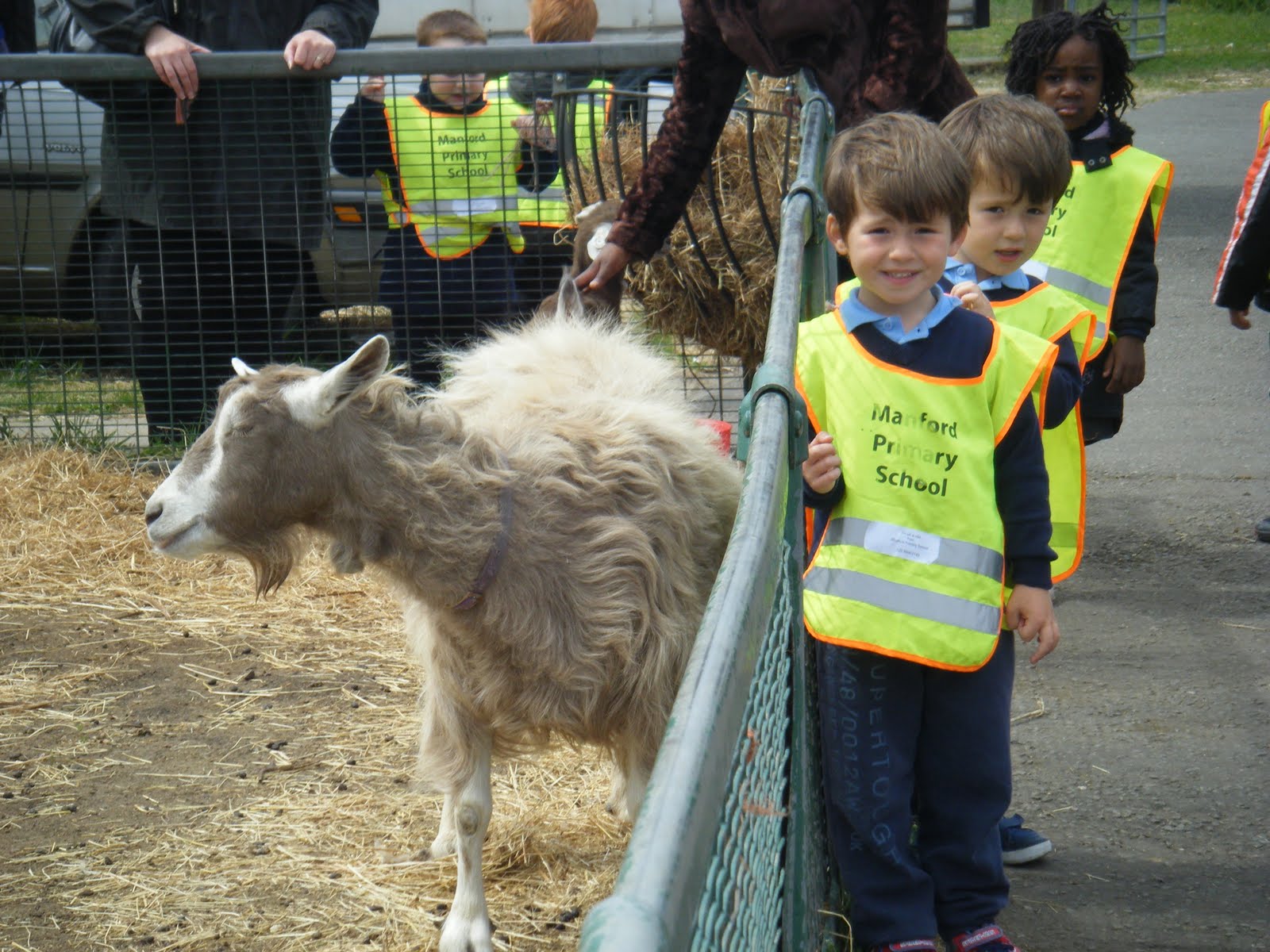 Manford Primary: Nursery: Nursery Trip to Wellgate Farm