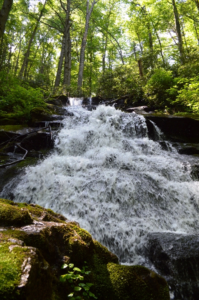 Young in the Mountains