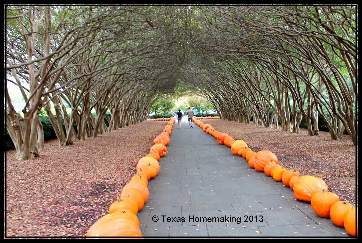 Texas Homemaking: Texas Travel :: Autumn in the Arboretum