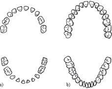 victor raul: Dentición Temporal y Dentición Permanente